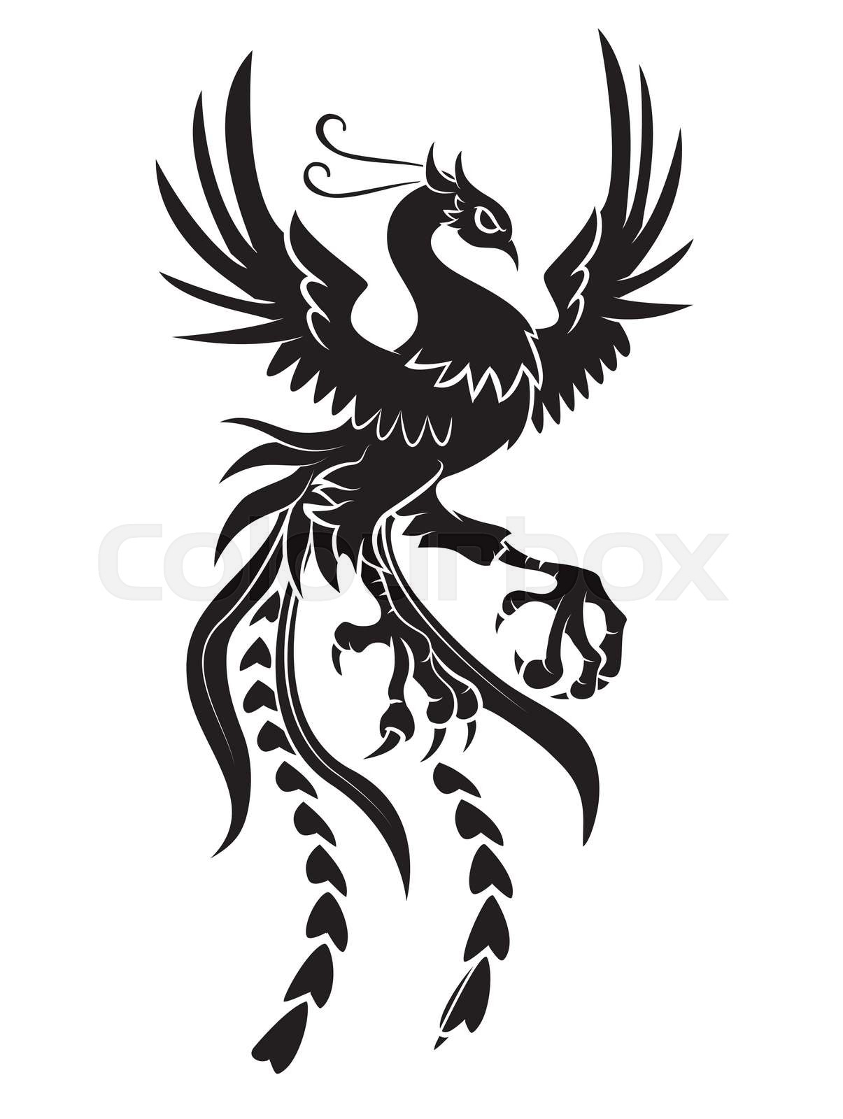 phönix, tattoo, schattenriss | Stock-Vektor | Colourbox