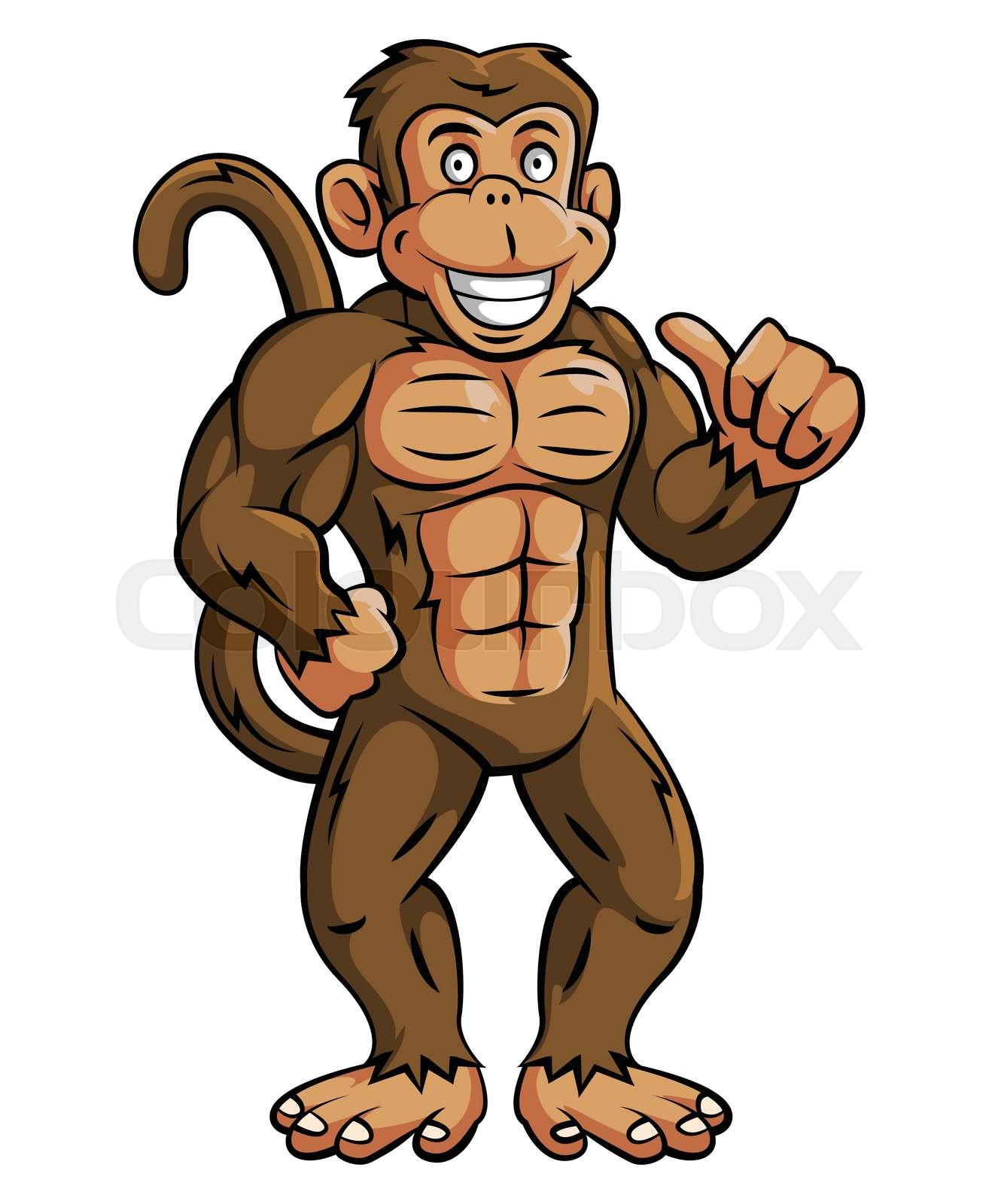 Strong Monkey | Stock vector | Colourbox