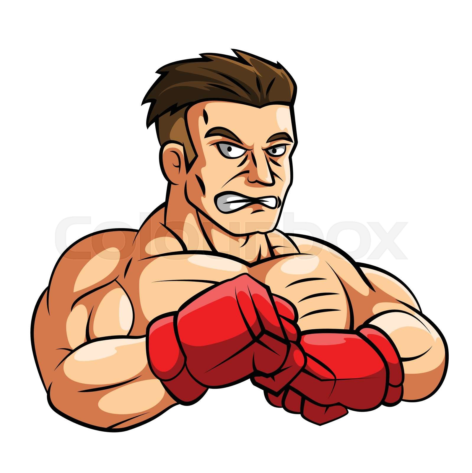 Fighter Illustration | Stock vector | Colourbox