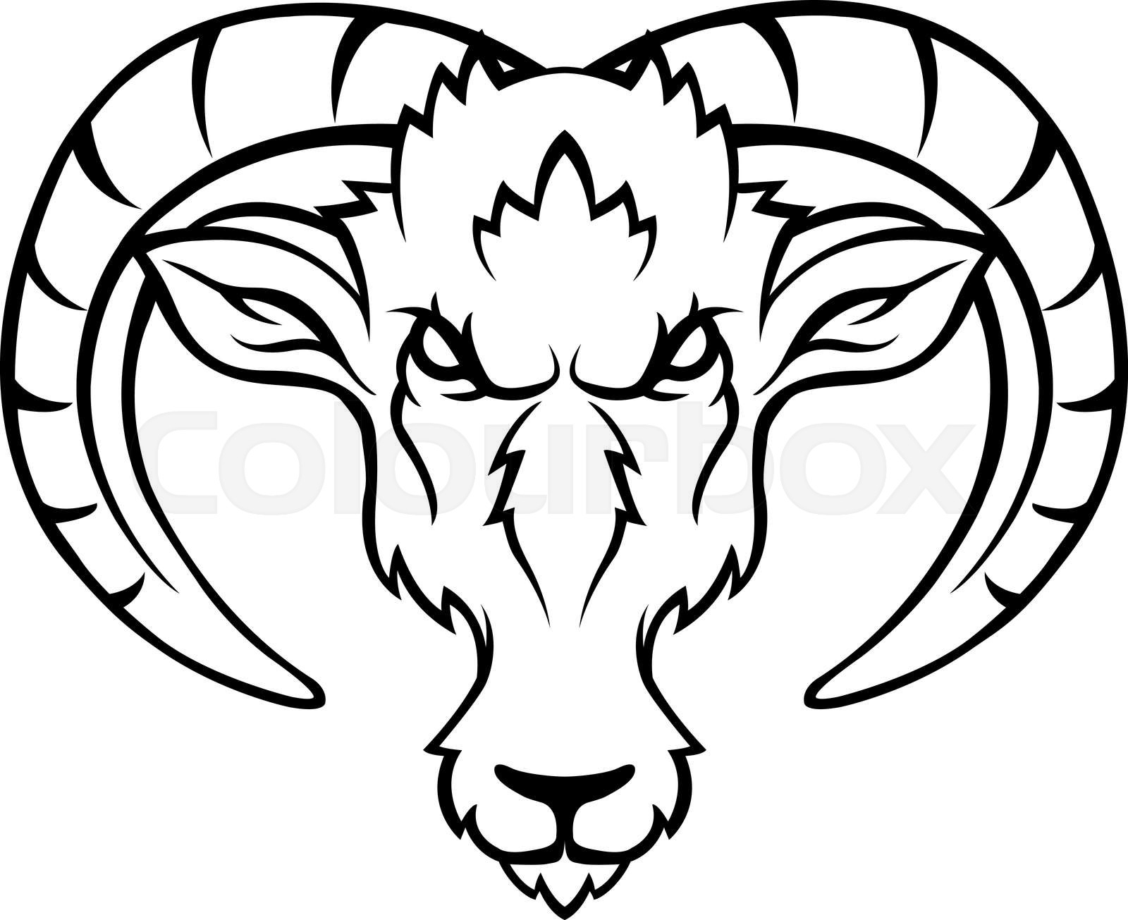 Ibex head | Stock vector | Colourbox