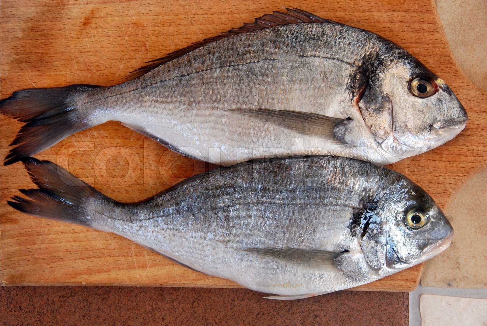 zwei Goldbrasse-Fisch | Stock Bild | Colourbox