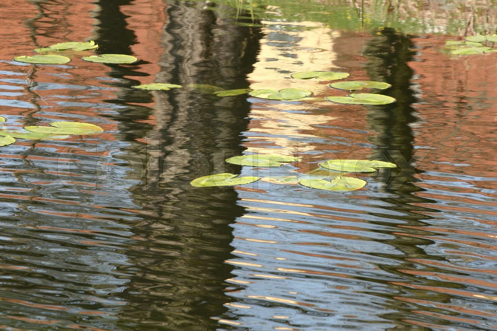 Wasser-Reflektion | Stock Bild | Colourbox