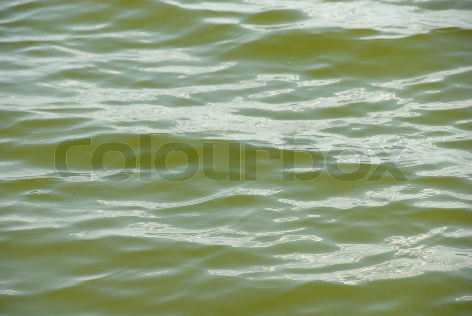 green lake water surface with light wave | Stock image | Colourbox