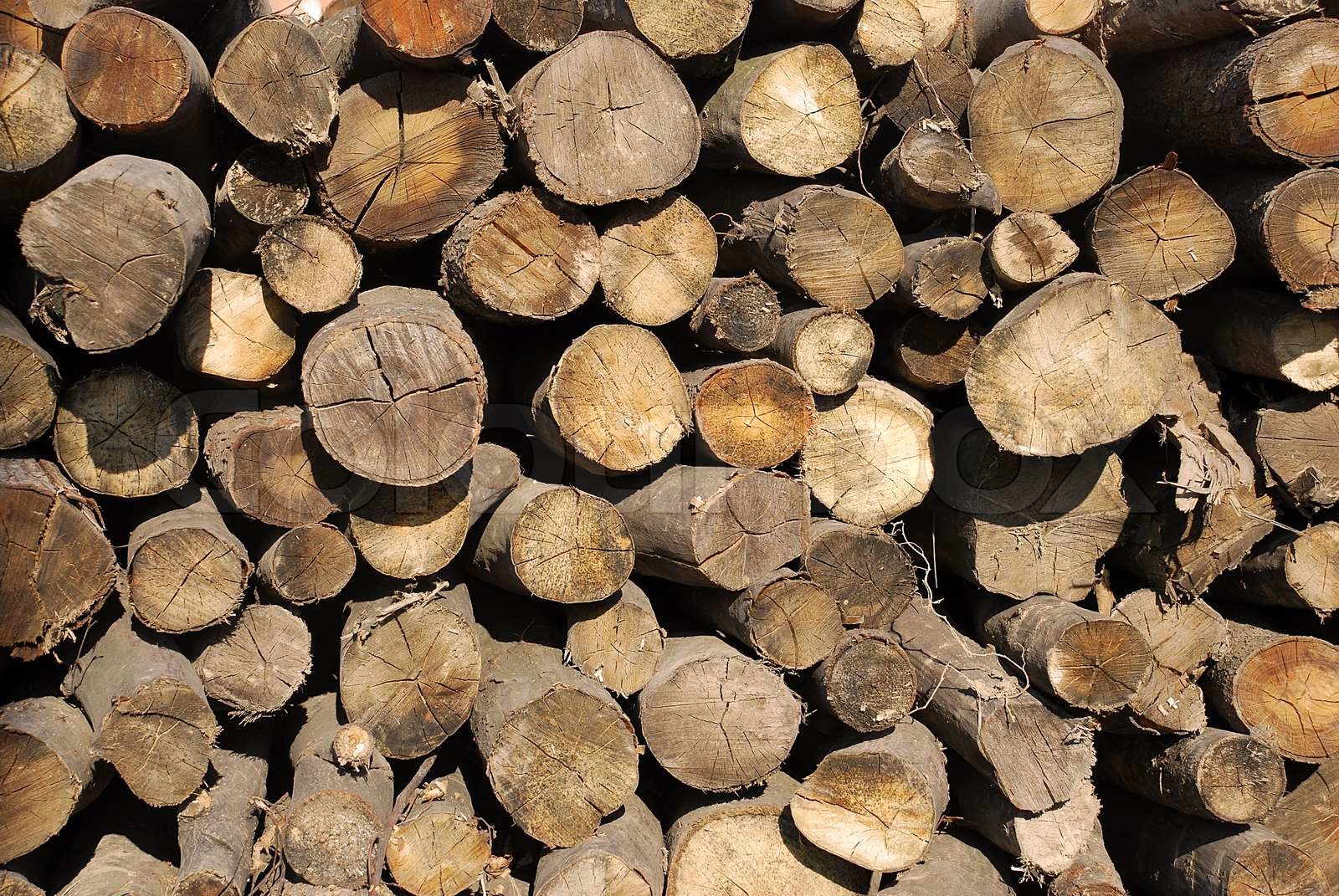 Holz-Haufen | Stock Bild | Colourbox