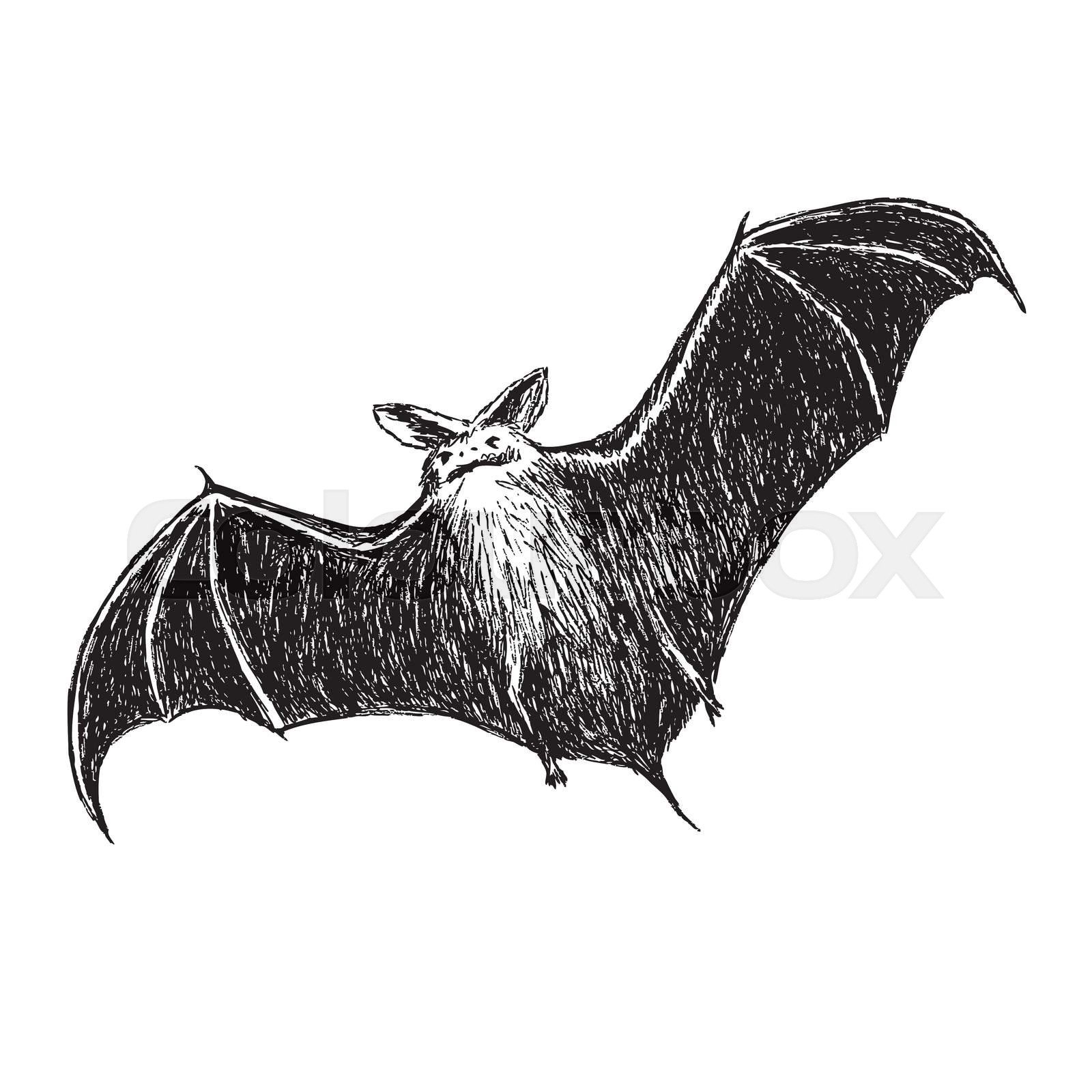 flying bat | Stock vector | Colourbox