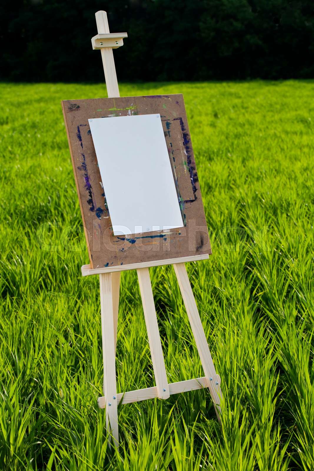 Easel with a blank sheet | Stock image | Colourbox