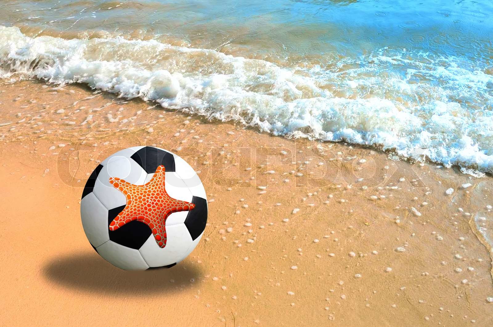 A soccer ball and Starfish on the beach | Stock image | Colourbox