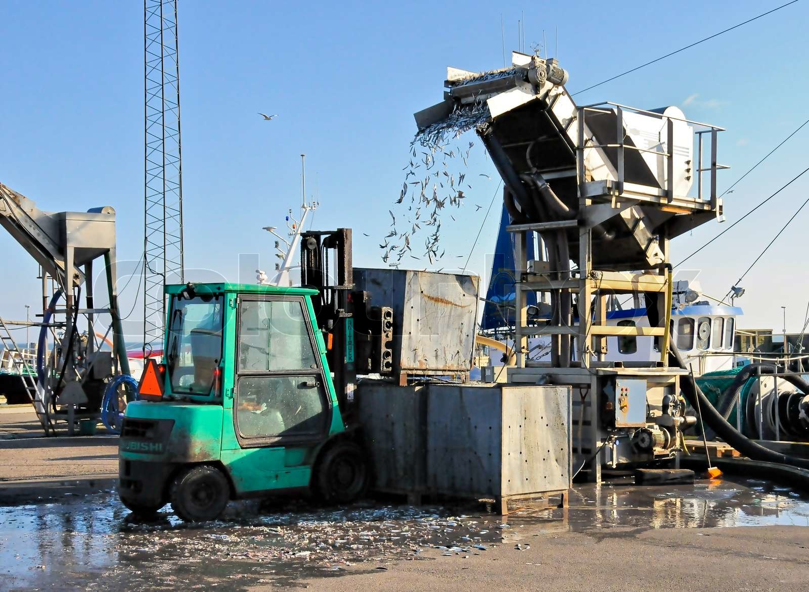 Unloading fish from a trawler to buckets containers truck | Stock image ...