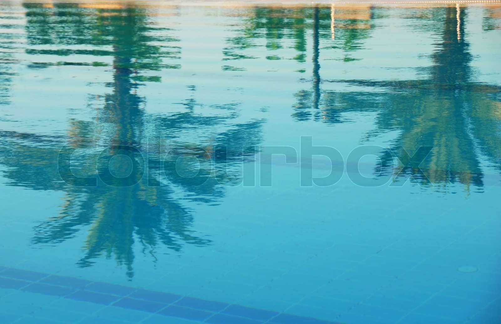 Palm trees reflection in blue water of swimming pool | Stock image ...