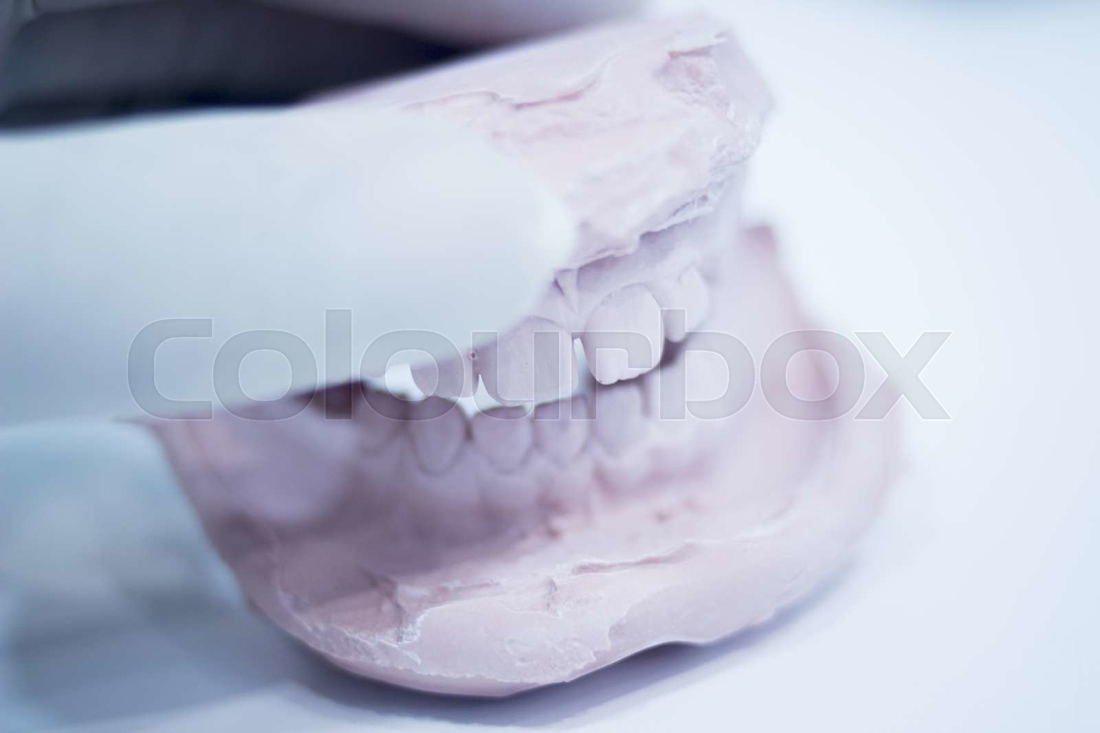 Dental mold dentists clay teeth ceramic plate cast | Stock image ...