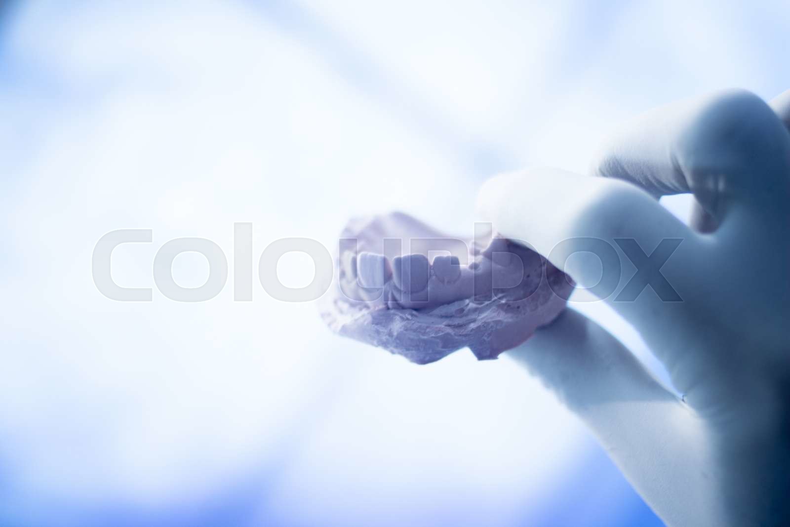 Dental mold dentists clay teeth ceramic plate cast | Stock image ...