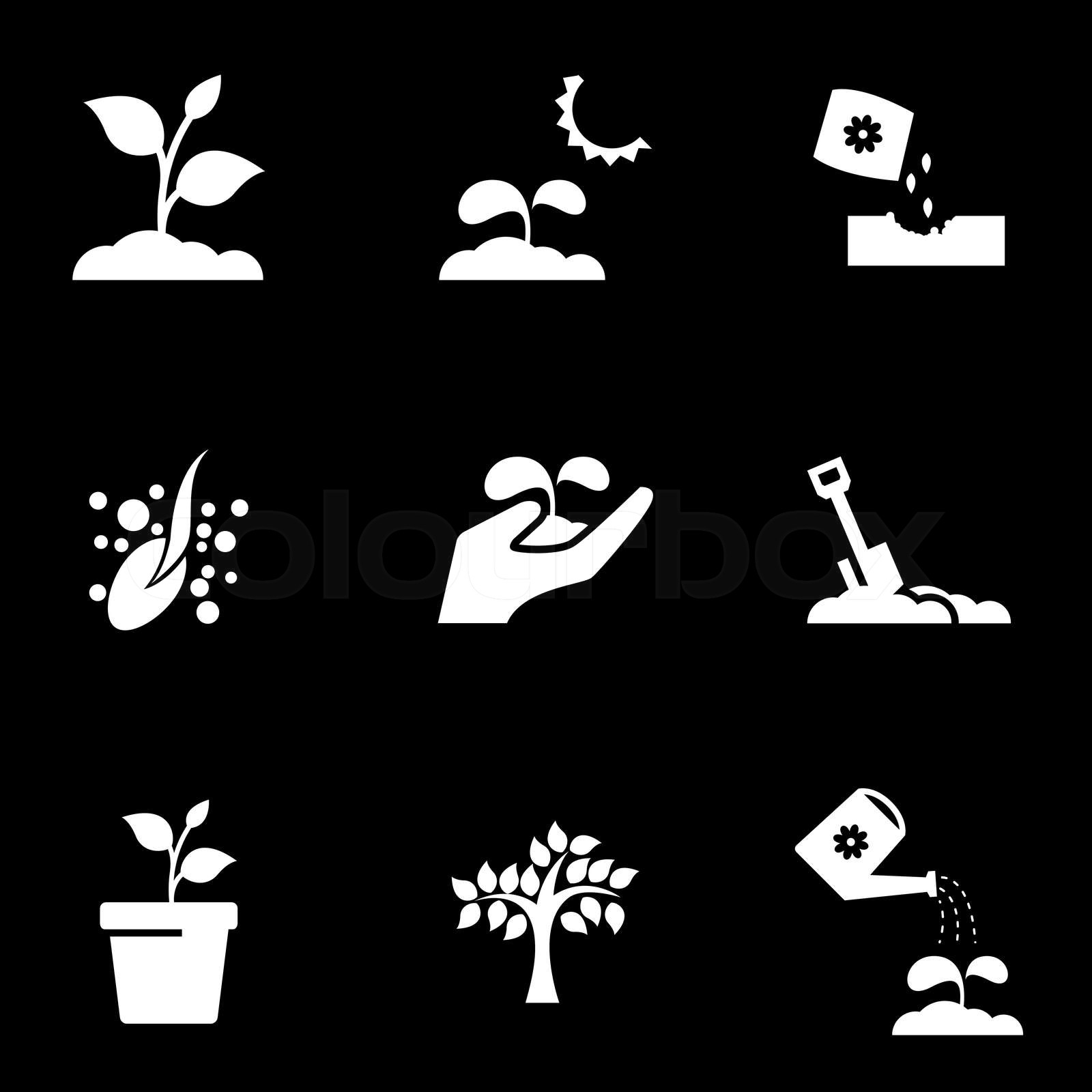 Vector white growing icon set | Stock vector | Colourbox
