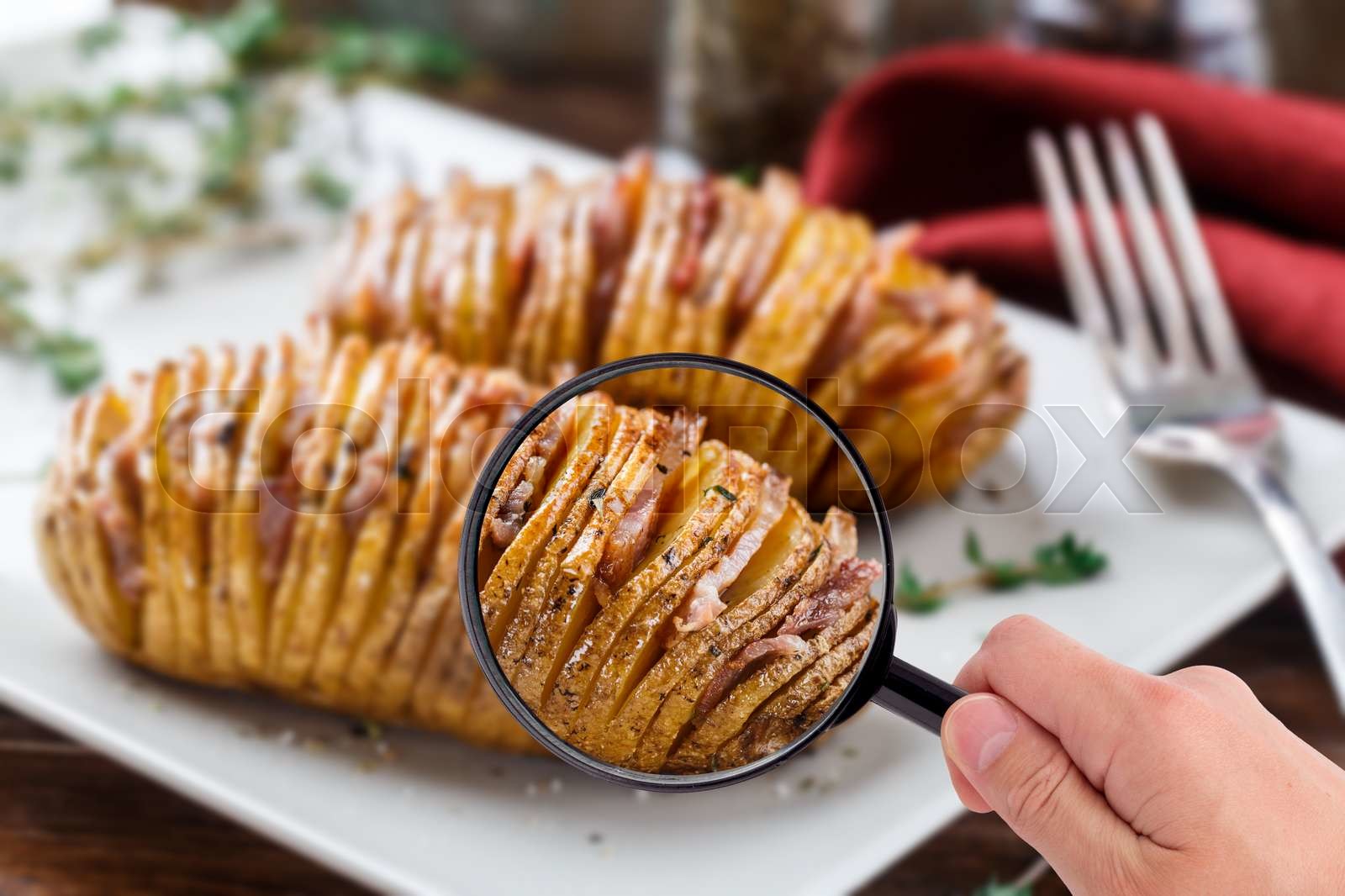 Magnifying glass examining hasselback potatoes | Stock image | Colourbox