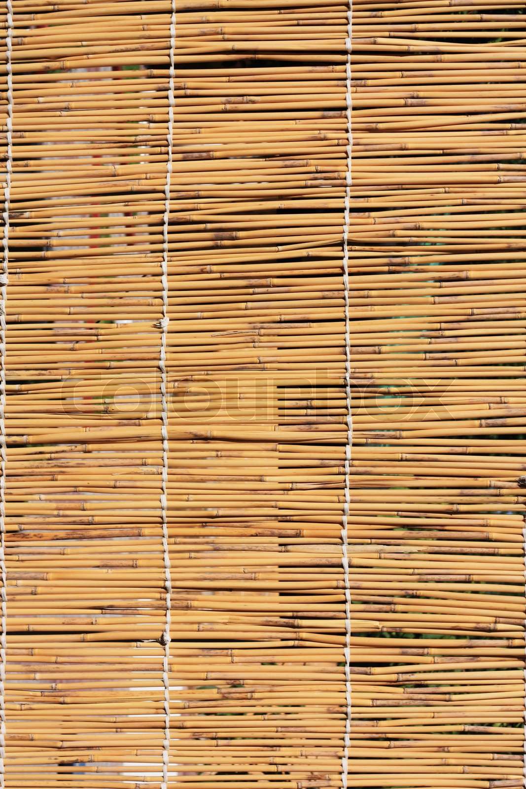 Cane texture | Stock image | Colourbox