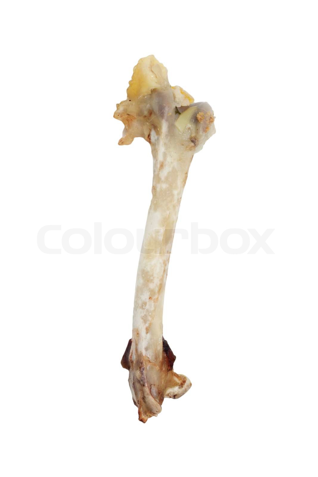 Knochen von der Henne | Stock Bild | Colourbox