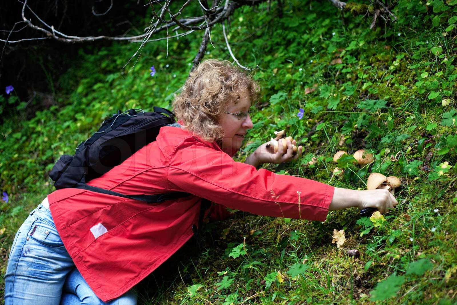 Woman picking up mushrooms in the forest | Stock image | Colourbox