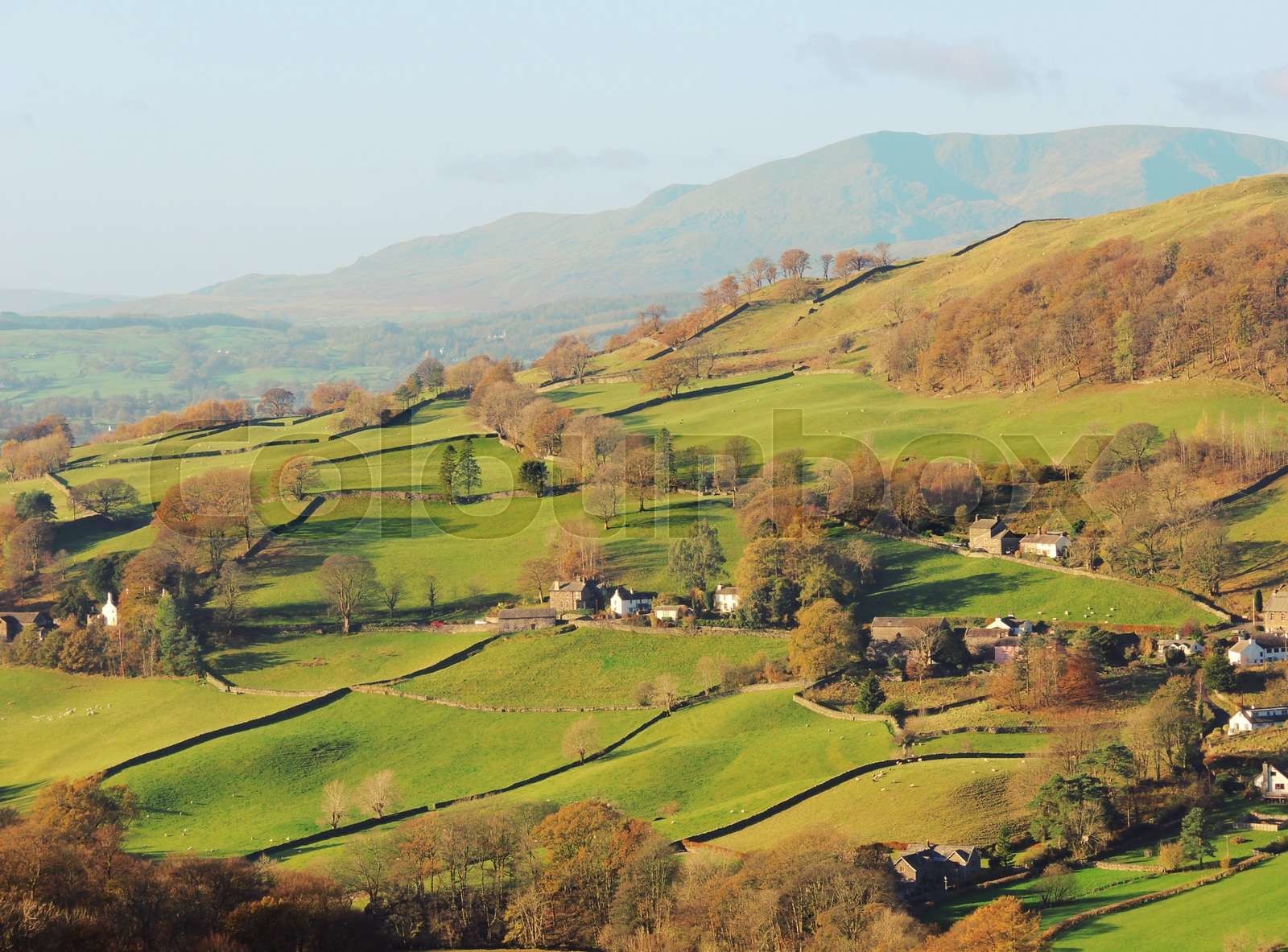 A Peaceful Rural Landscape. | Stock image | Colourbox