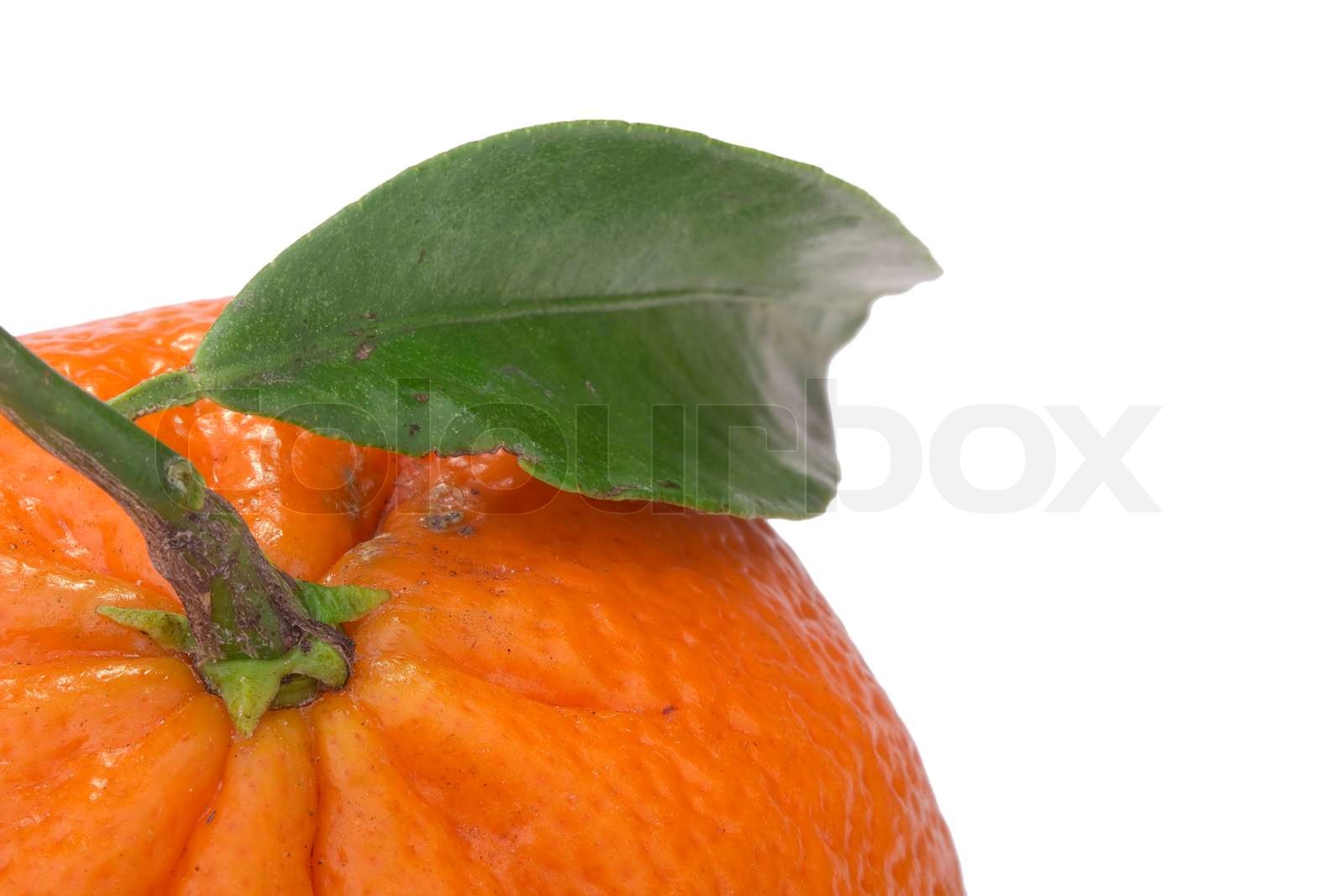 Orange Mandarine mit einem grünen Blatt auf weißem Hintergrund ...