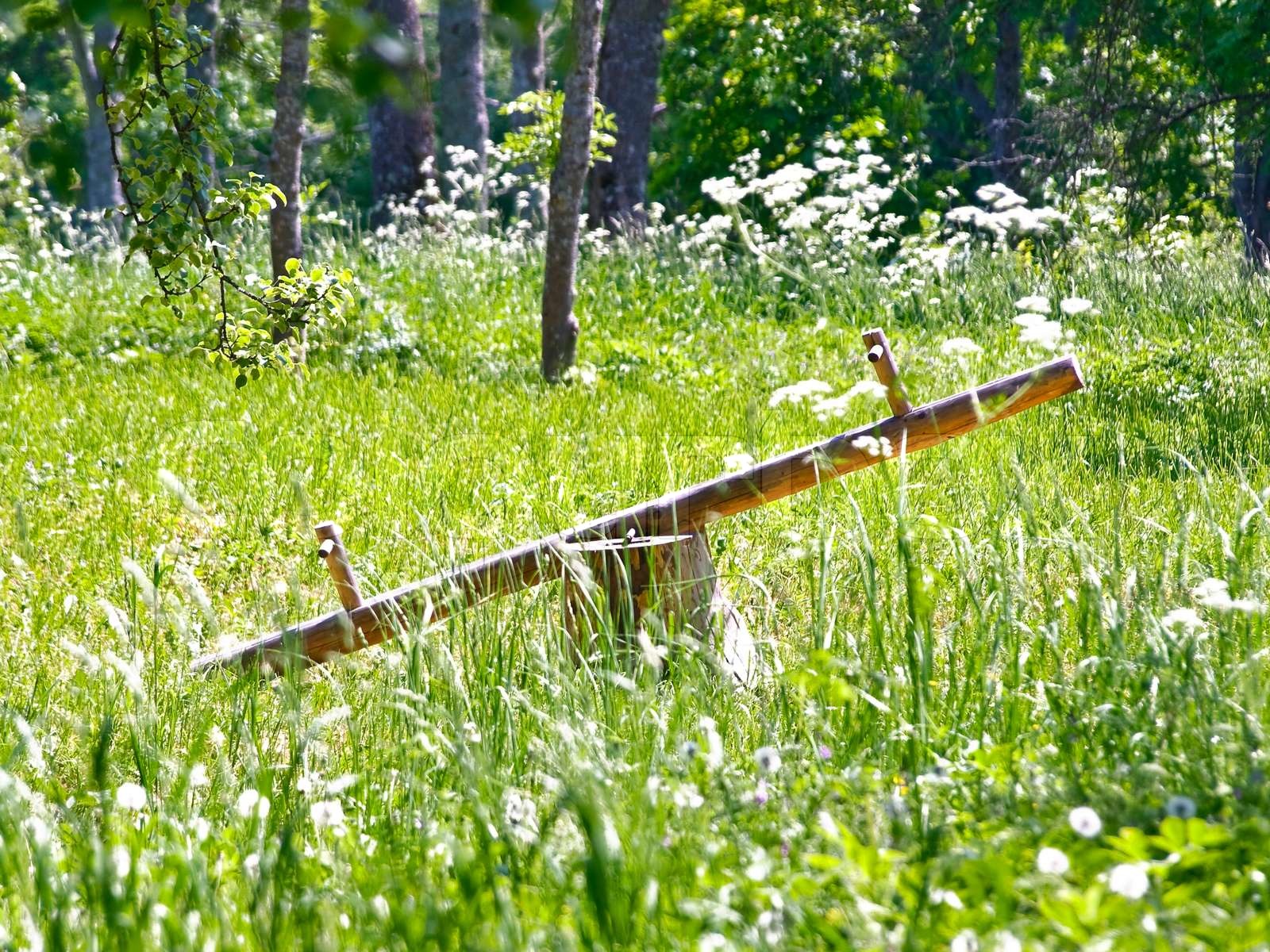 Holz Wippe in den Wald zwischen den grünen Rasen | Stock Bild | Colourbox