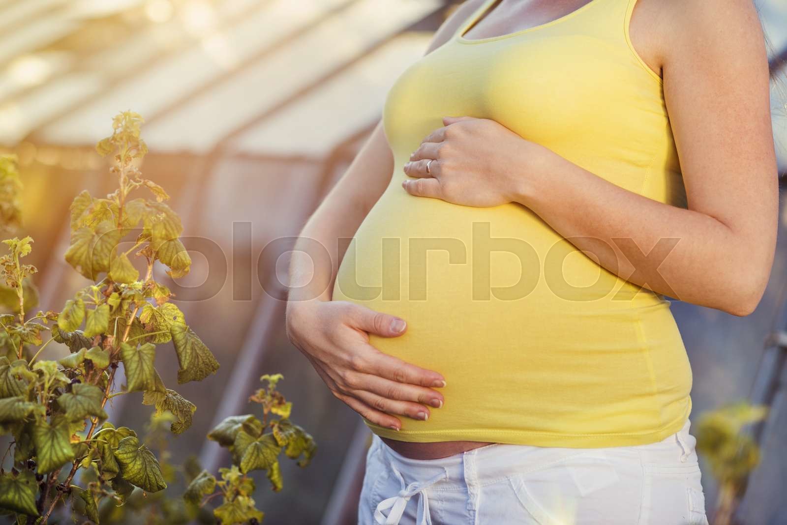 Pregnant Woman Stock Image Colourbox