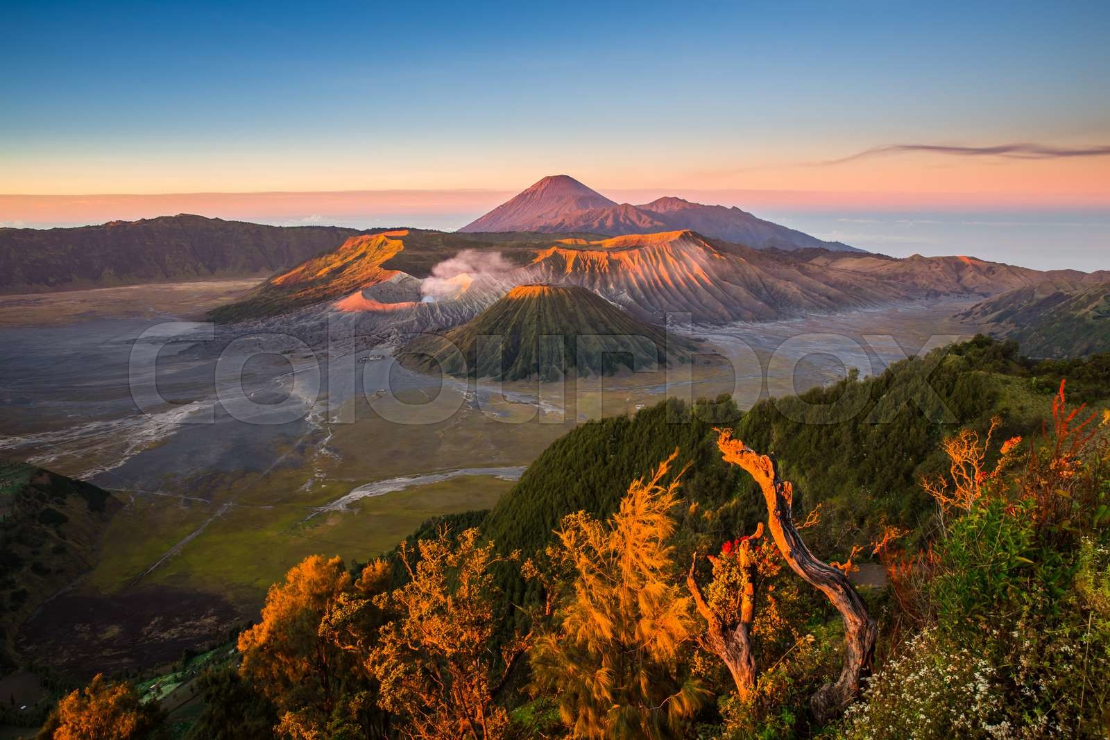 Amazing sunrise in Mount Bromo | Stock image | Colourbox