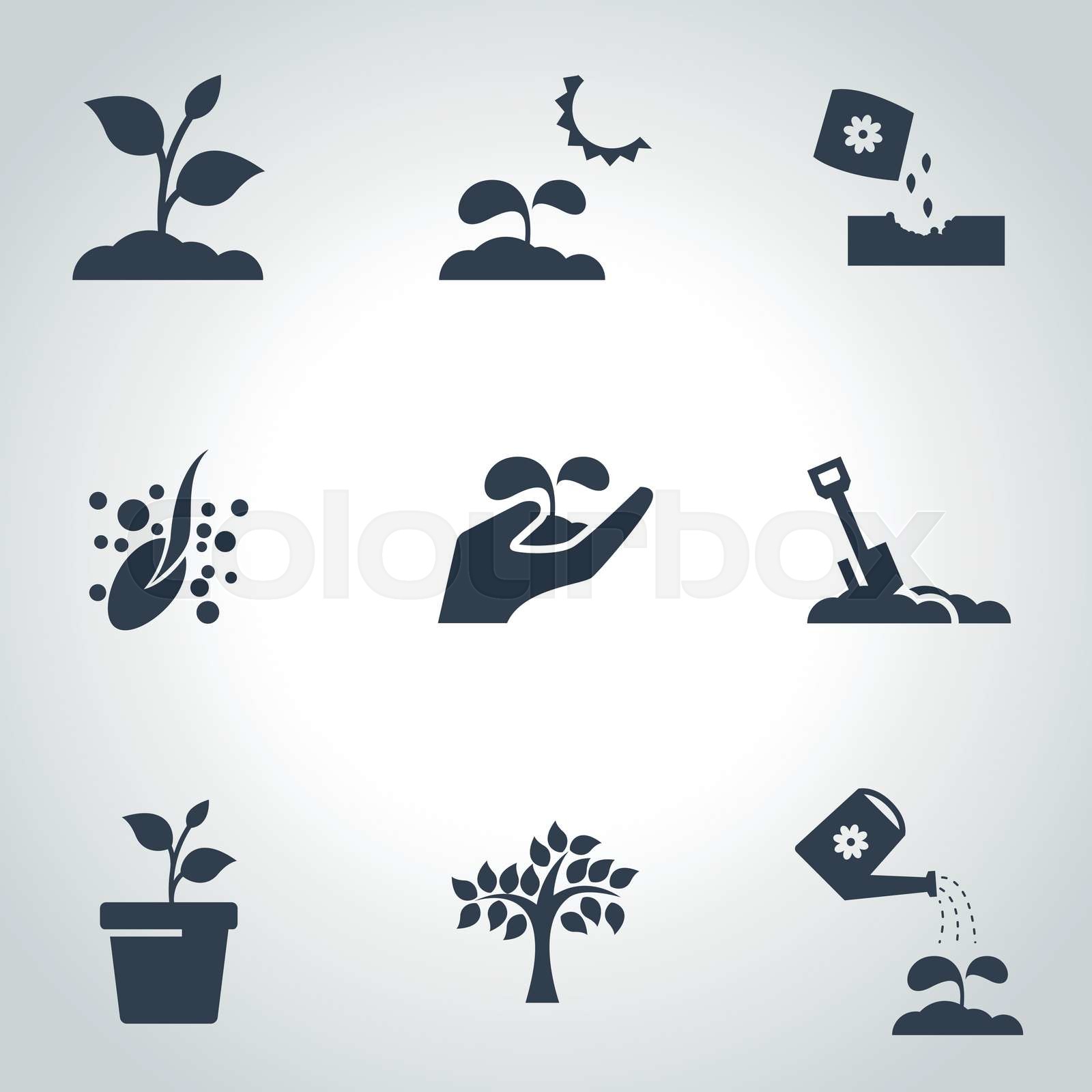 Vector black growing icon set | Stock vector | Colourbox