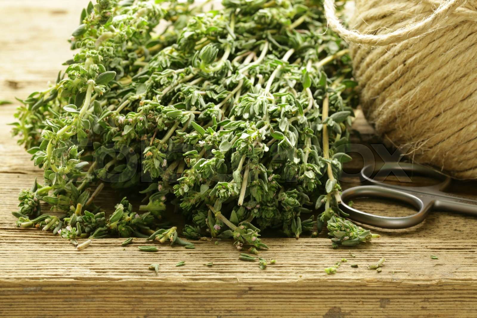 Organic fresh thyme | Stock image | Colourbox