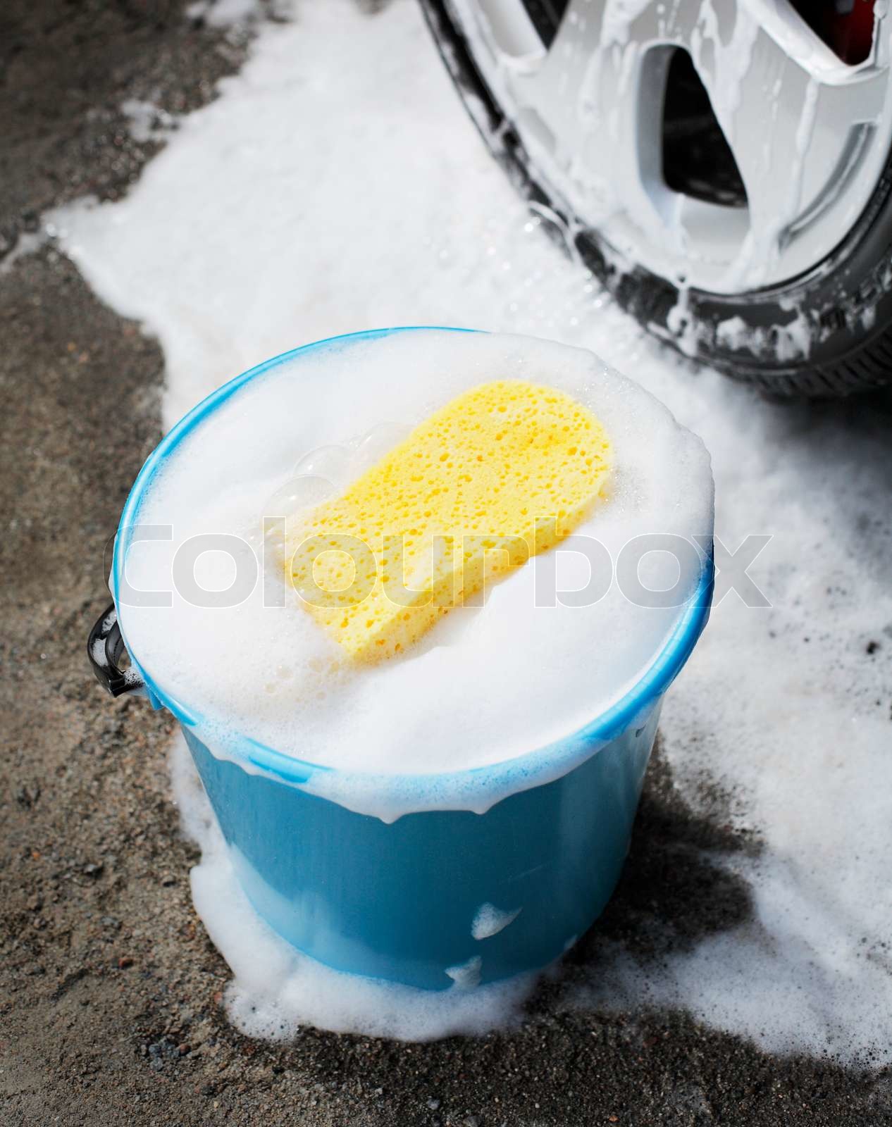 Bucket with soapy water, a sponge and a wheel. | Stock image | Colourbox