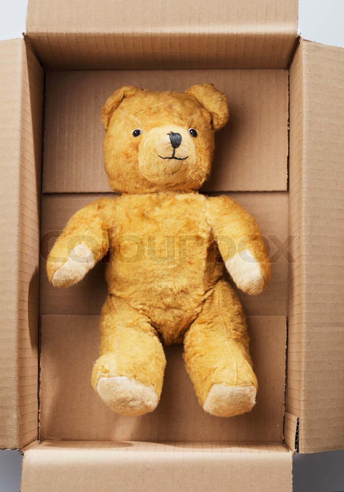 Vintage teddy bear in a brown cardboard box | Stock image | Colourbox