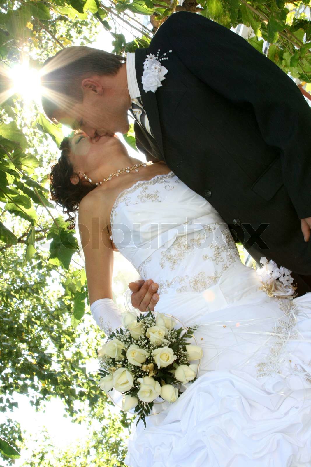 newly married together in a photo pose | Stock image | Colourbox