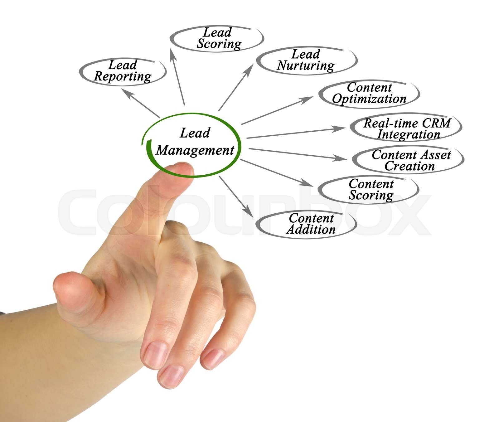Diagram of Lead Management | Stock image | Colourbox