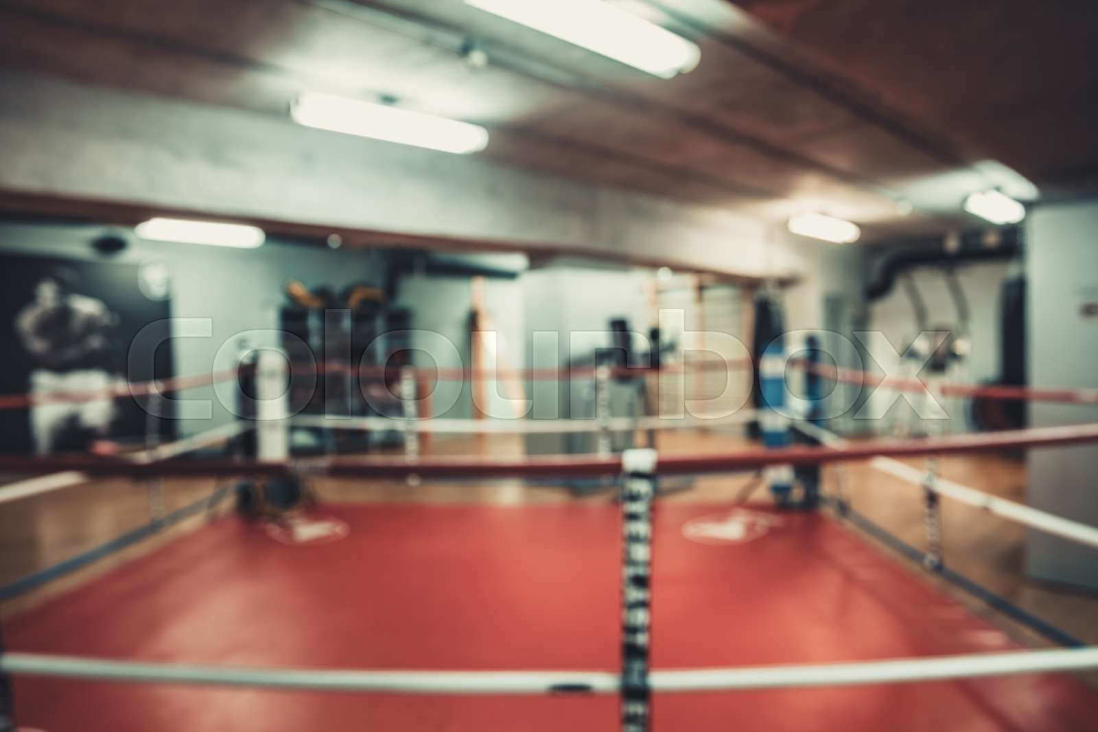 boxing area in the gym | Stock image | Colourbox
