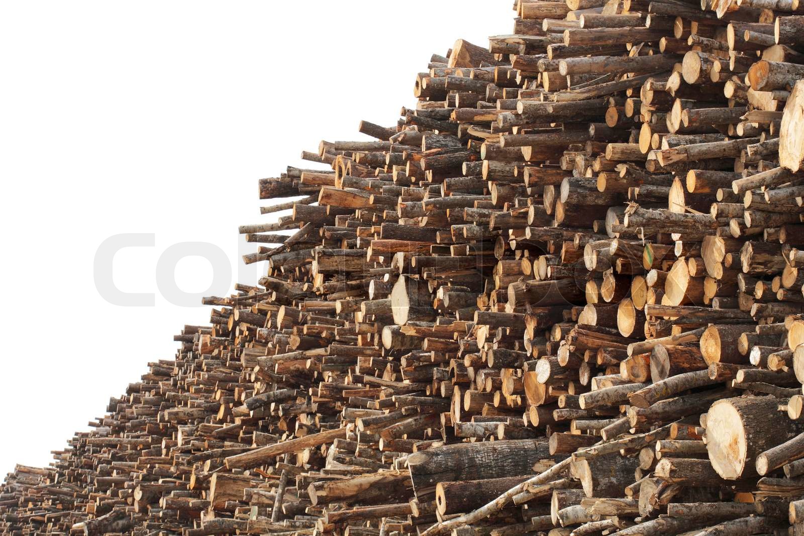A stack of logs used as forest industry pulp wood | Stock image | Colourbox