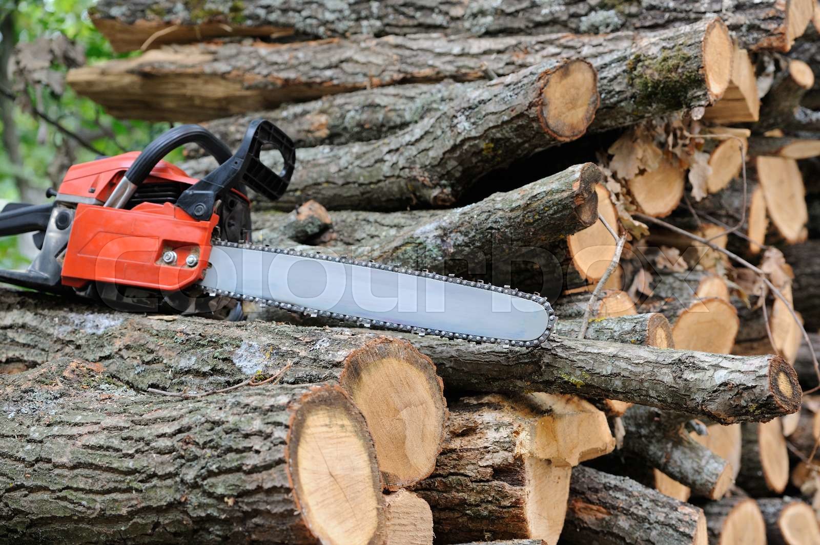 Chainsaw and tree | Stock image | Colourbox
