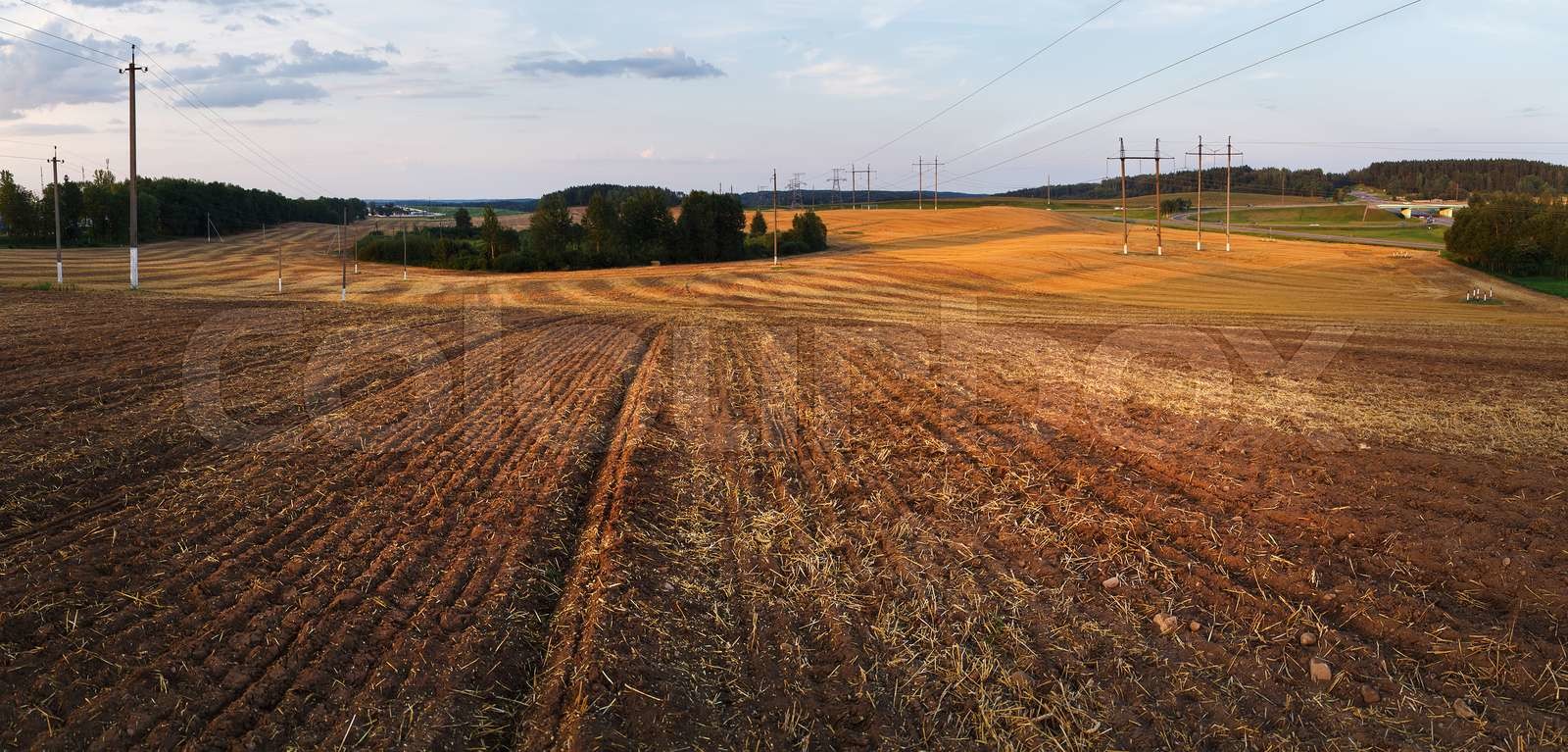 Field after harvest | Stock image | Colourbox