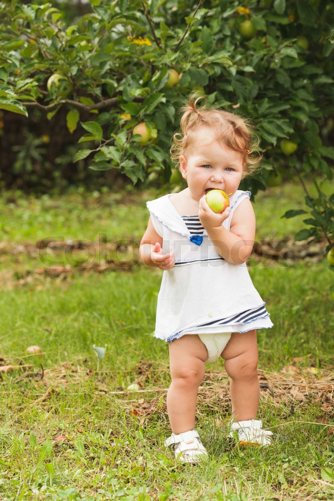 Baby girl under the apple tree | Stock image | Colourbox