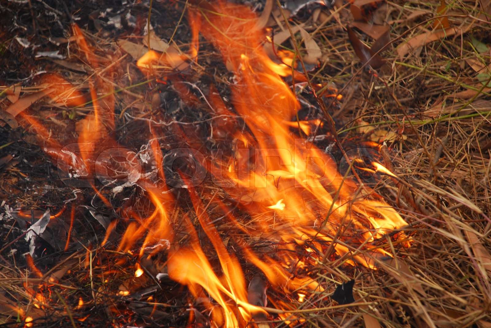 Fire | Stock image | Colourbox