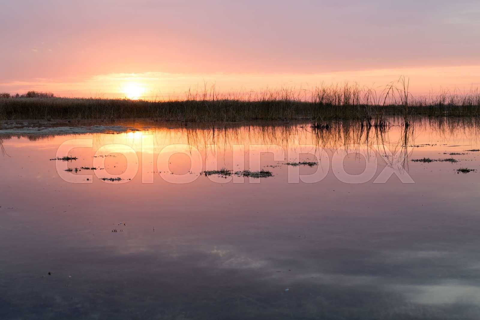 beautiful sunrise of the sun on the lake | Stock image | Colourbox