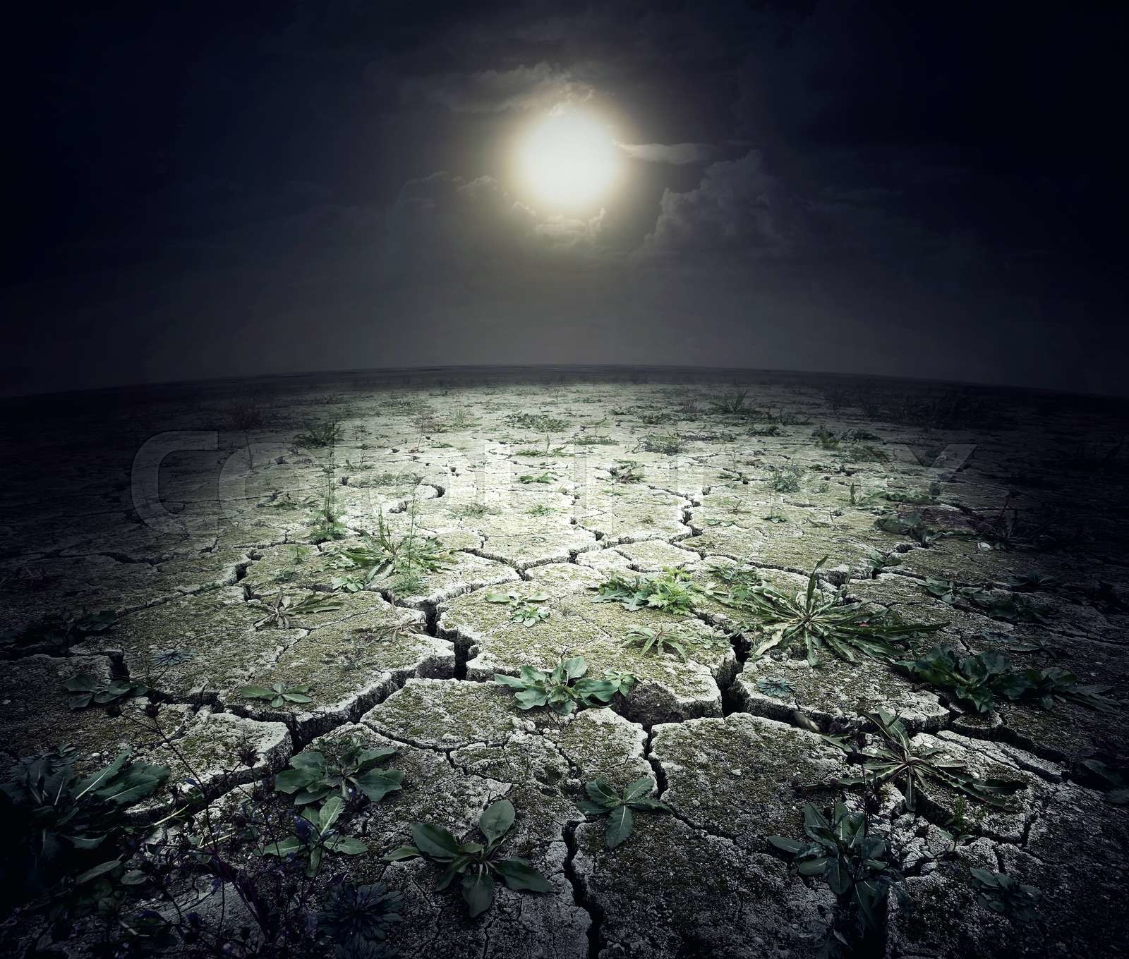 Dry cracked surface of planet | Stock image | Colourbox