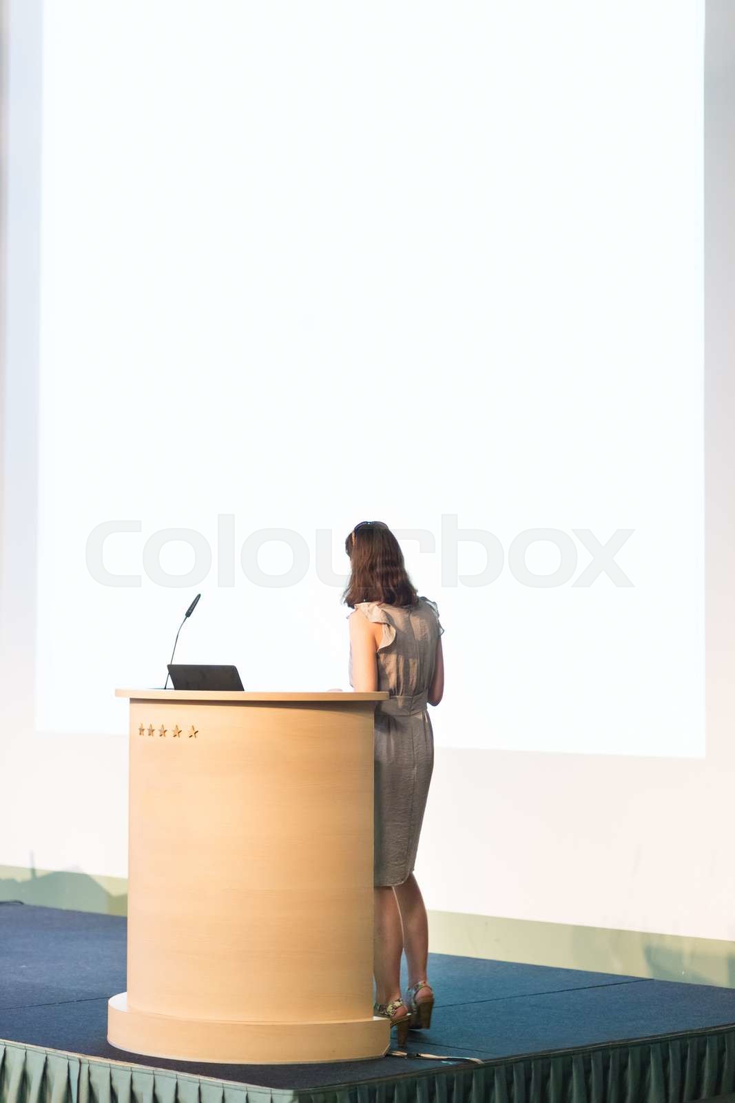 Business woman making business presentation. | Stock image | Colourbox