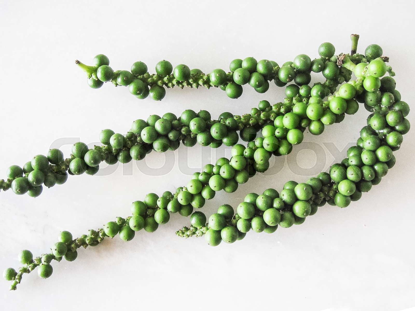 Green peppercorns. | Stock image | Colourbox