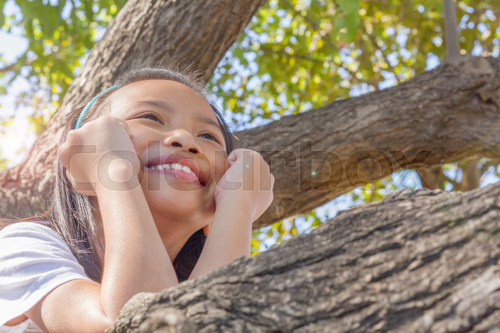Close up happy adorable asian children climbing trees with sun flare ...