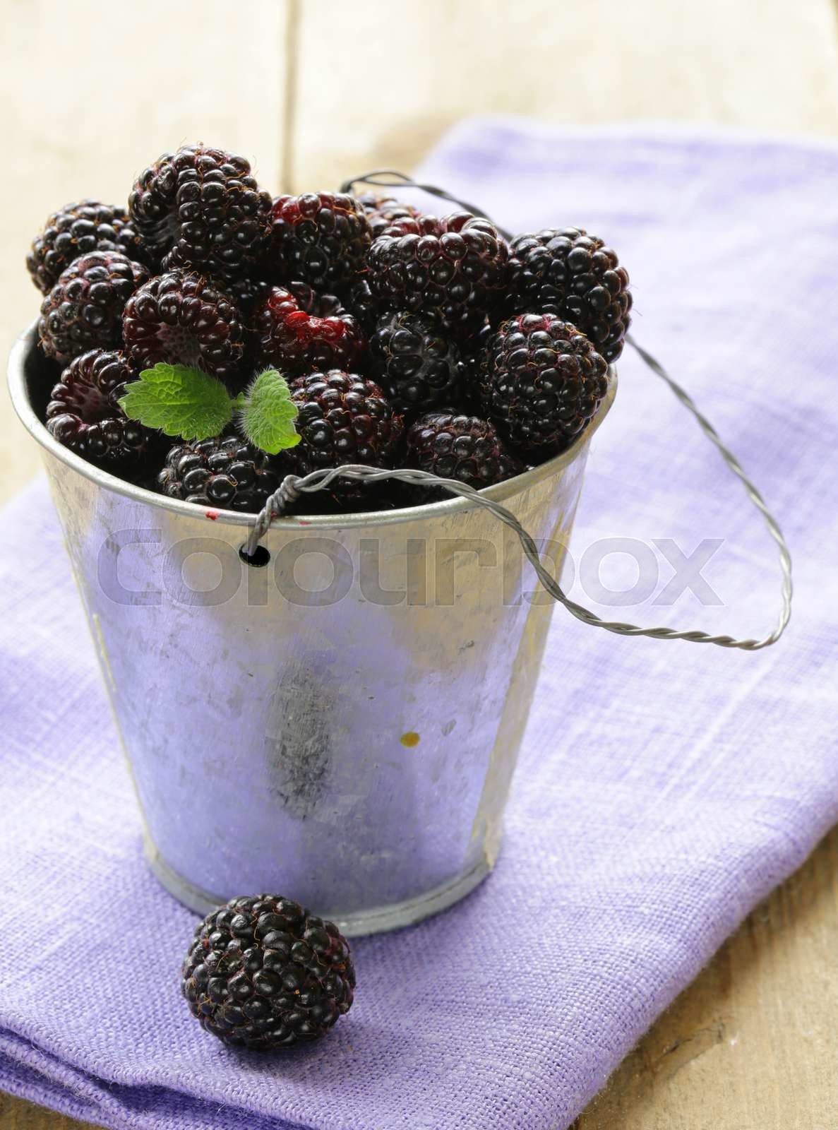 organic ripe black berry raspberry | Stock image | Colourbox