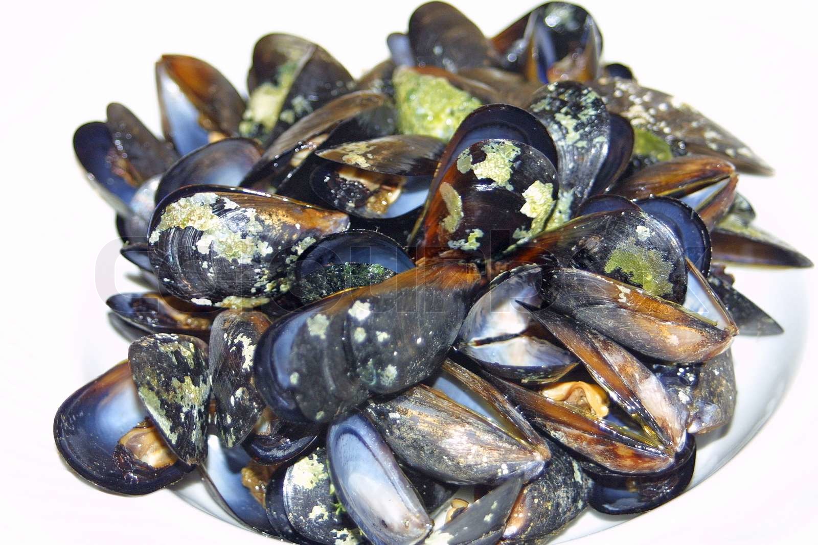 Close-up opened boiled small mussels on a plate | Stock image | Colourbox