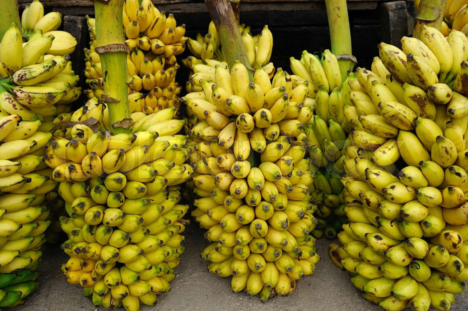 Banana | Stock image | Colourbox
