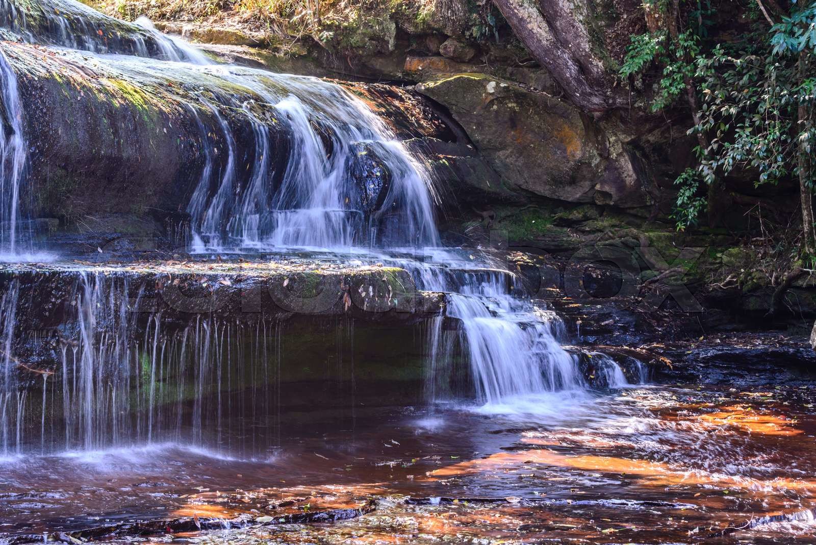Beautiful waterfall in deep rainforest. | Stock image | Colourbox