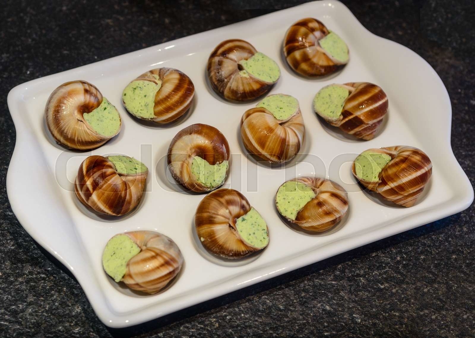 Some snails on a plate | Stock image | Colourbox