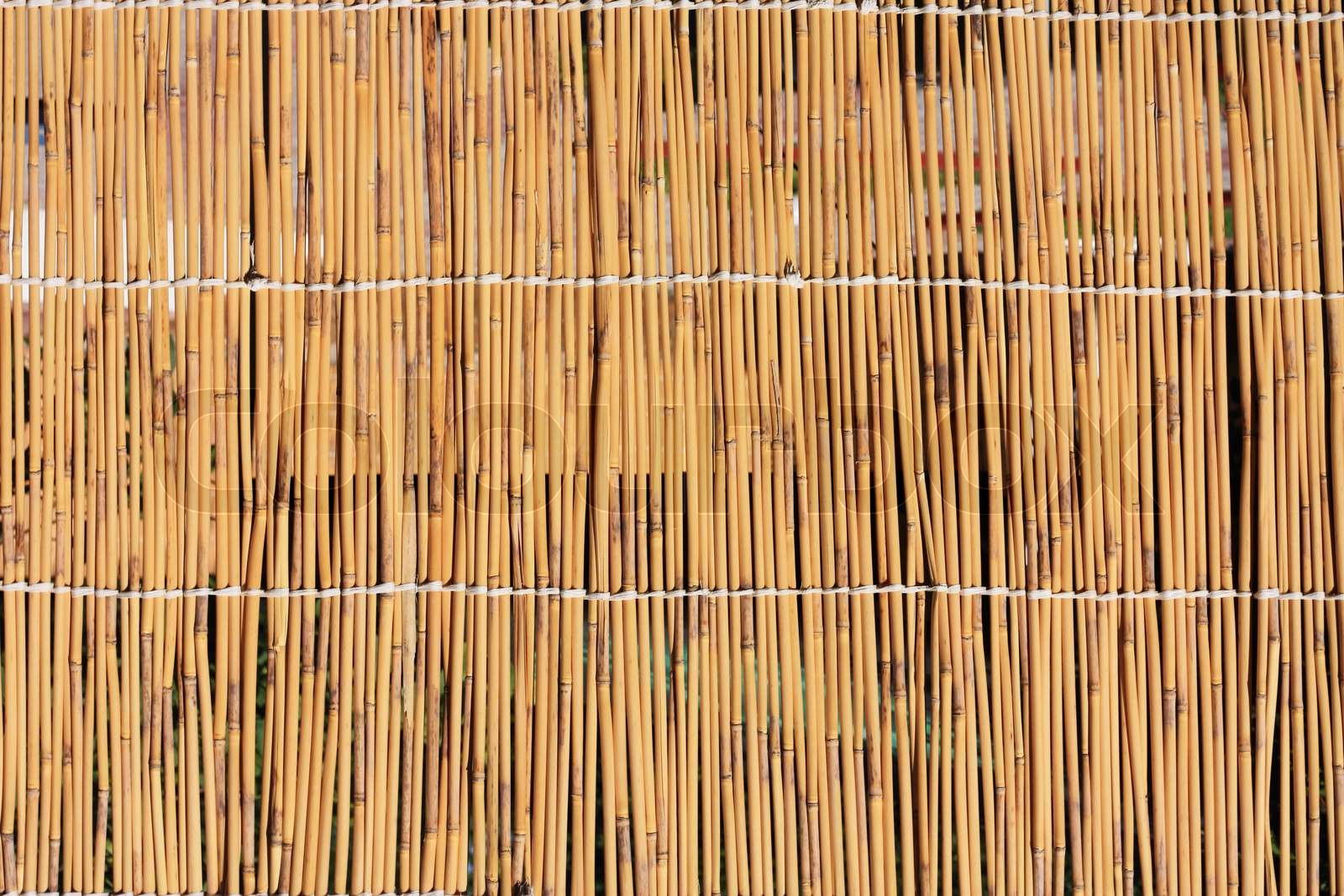 Cane texture | Stock image | Colourbox