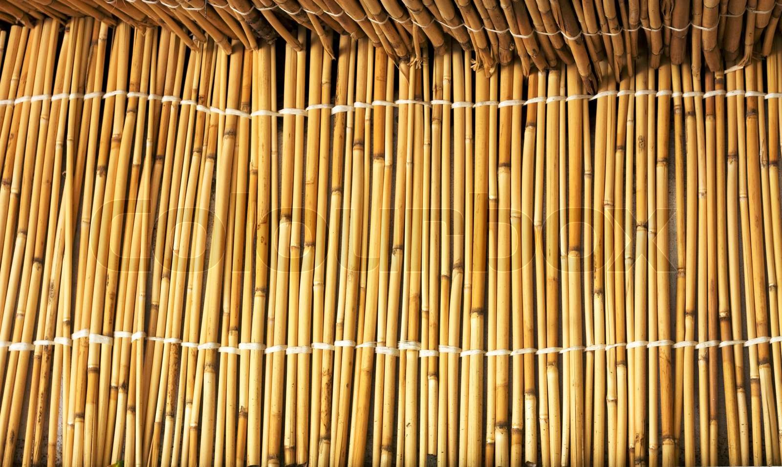 Cane texture | Stock image | Colourbox