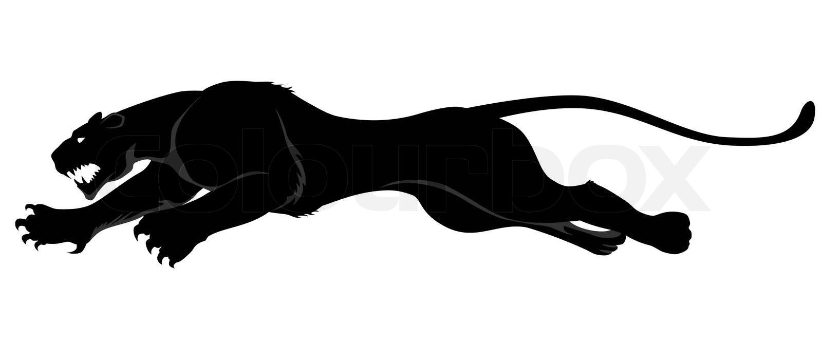 "dark wild puma" | Stock vector | Colourbox